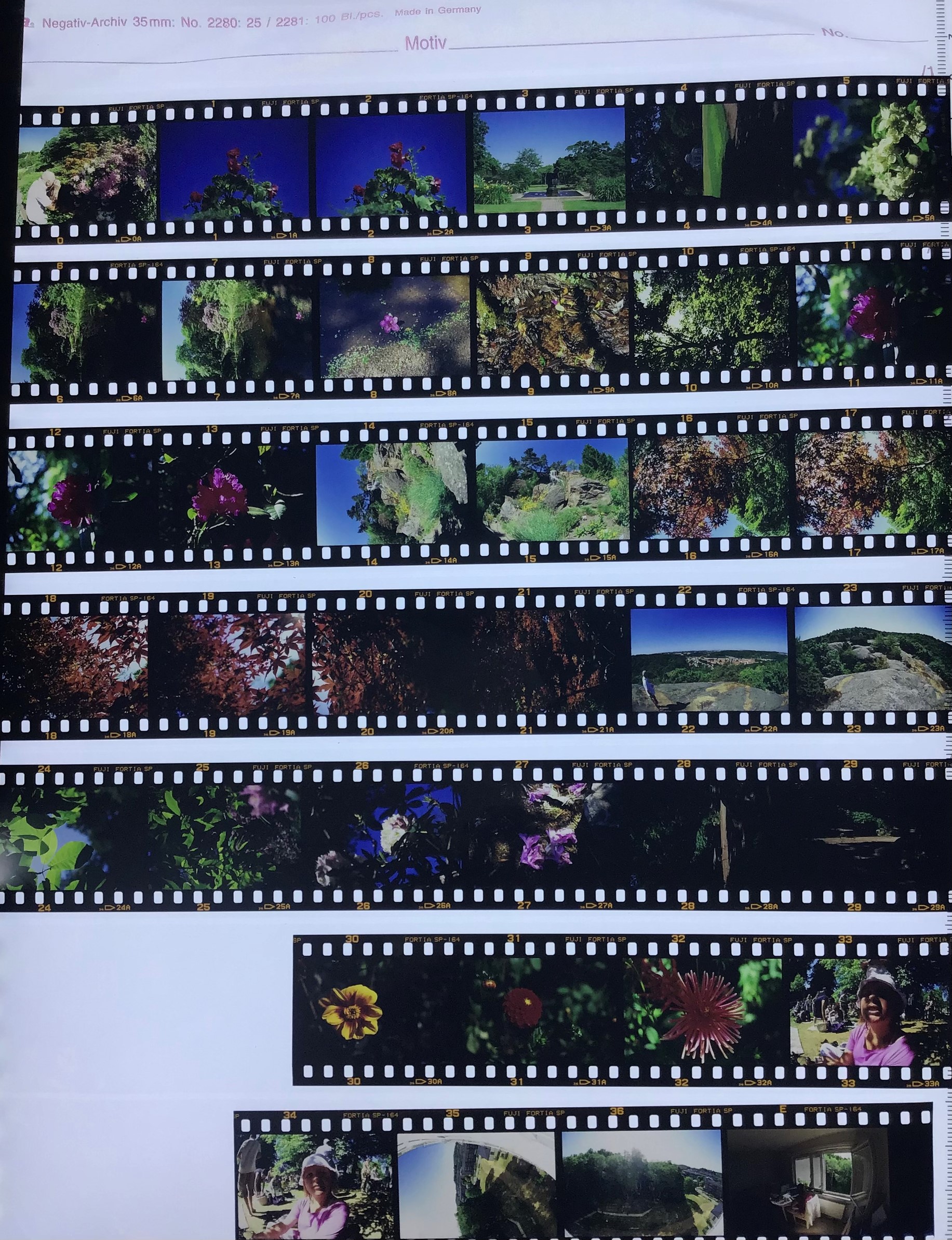 Fuji Fortia SP | Photrio.com Photography Forums