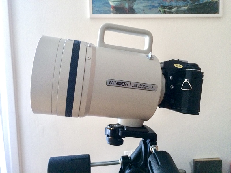 Minolta 800/8.0 RF and Minolta MD 100-500/8 APO | Photrio Minolta 800/8.0 RF and Minolta MD 100-500/8 APO | Photrio