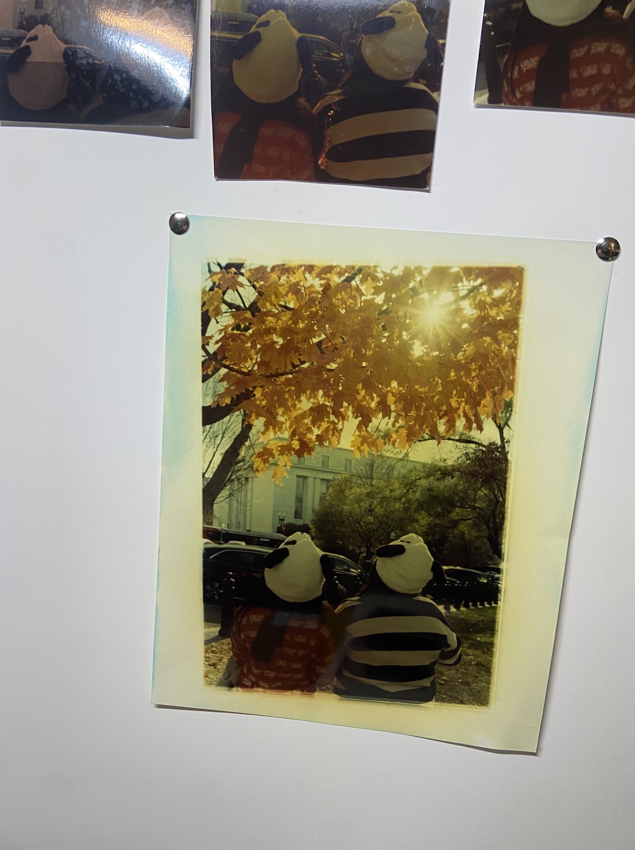 First time RA4 - Chemical questions | Photrio.com Photography Forums