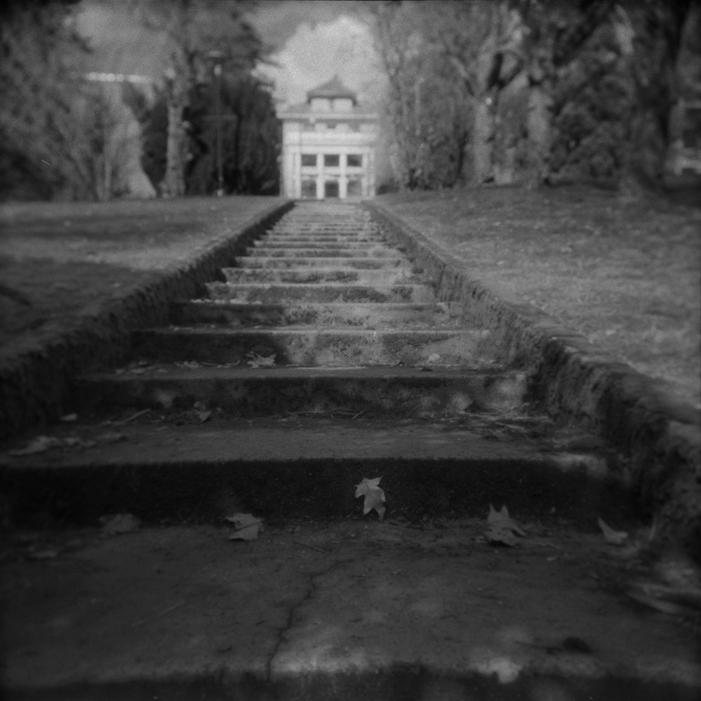 Refusing To Leave... | Photrio.com Photography Forums